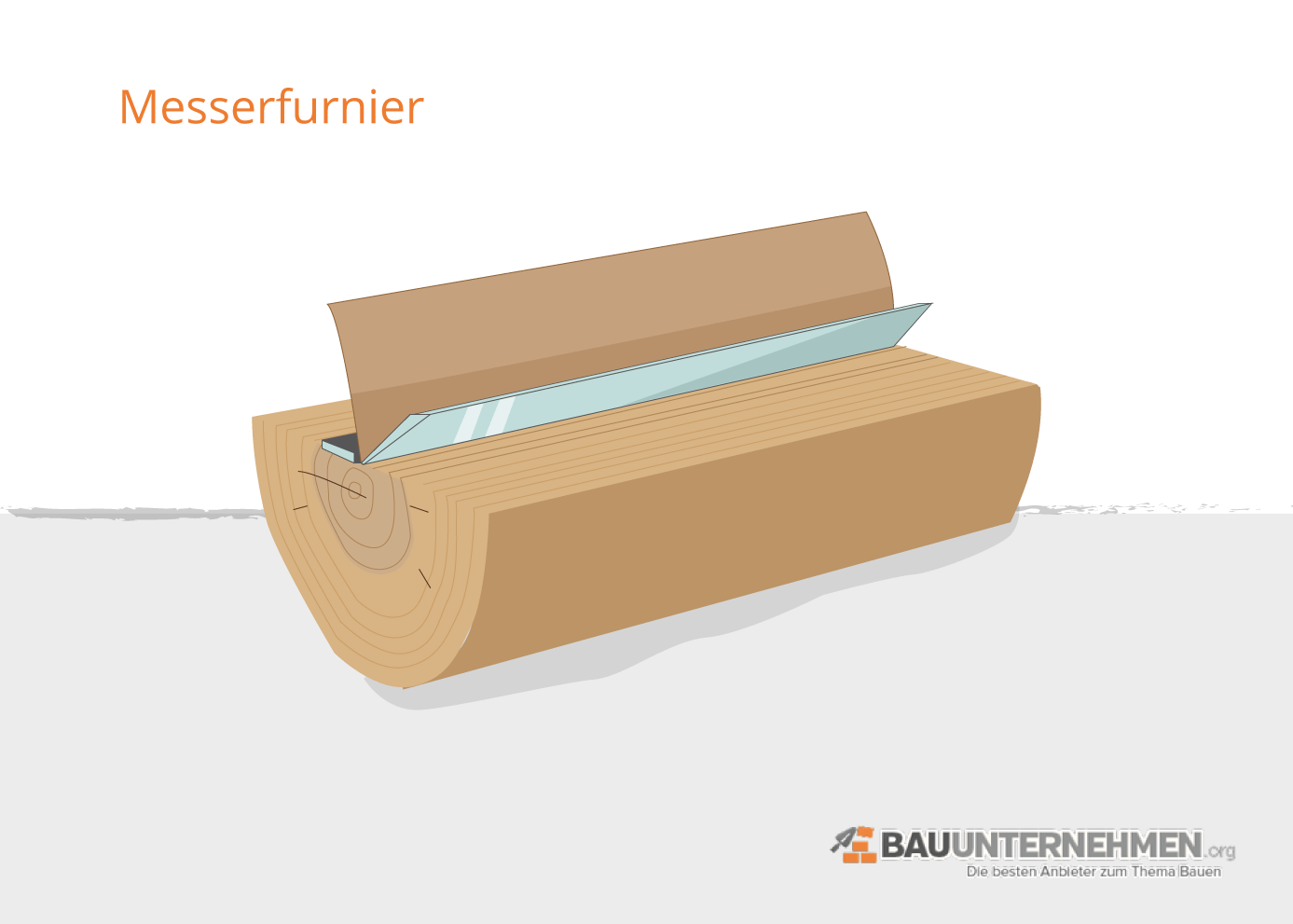 Furnier: Definition, Herstellung, Arten & Verarbeitung