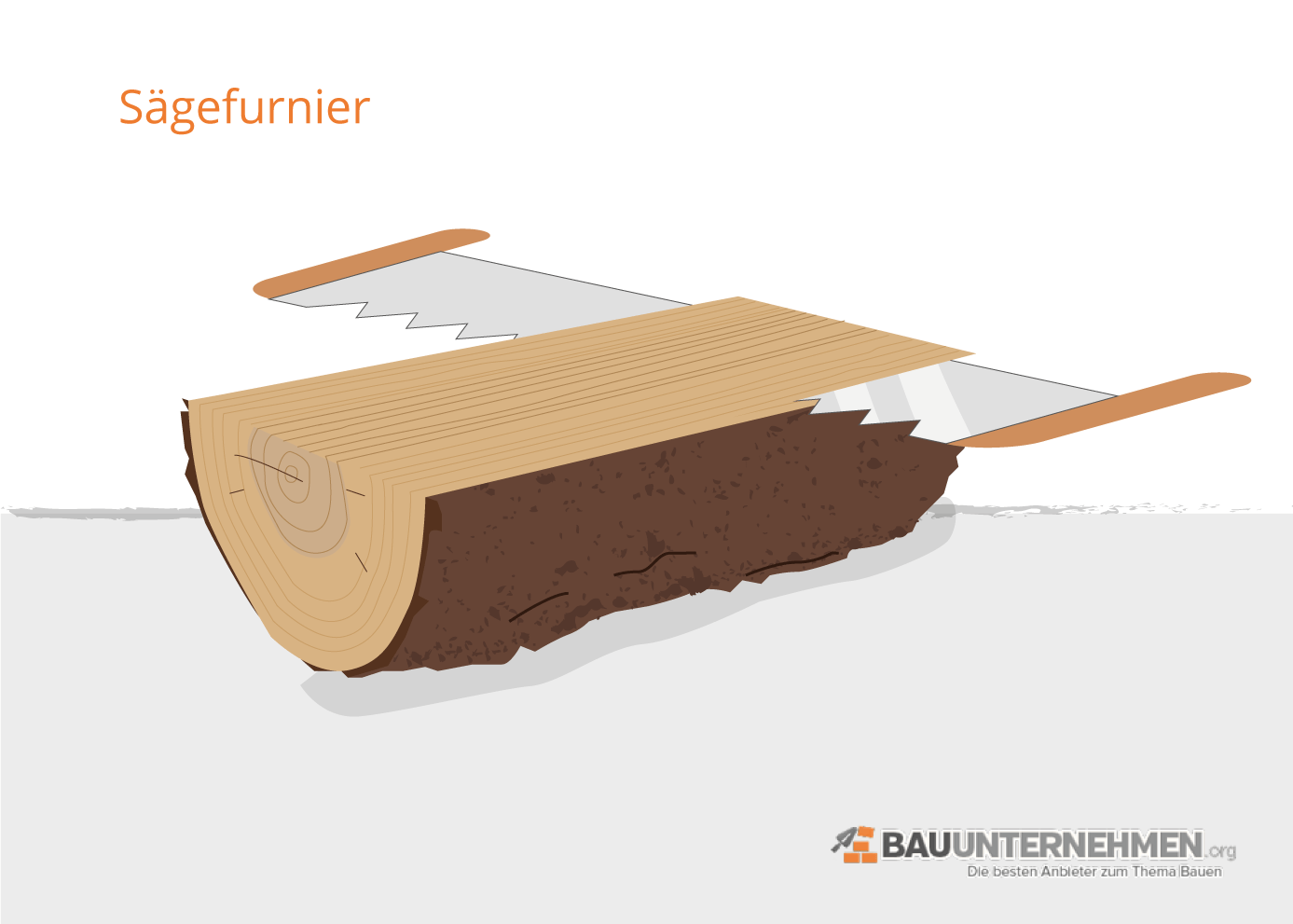 Furnier: Definition, Herstellung, Arten & Verarbeitung
