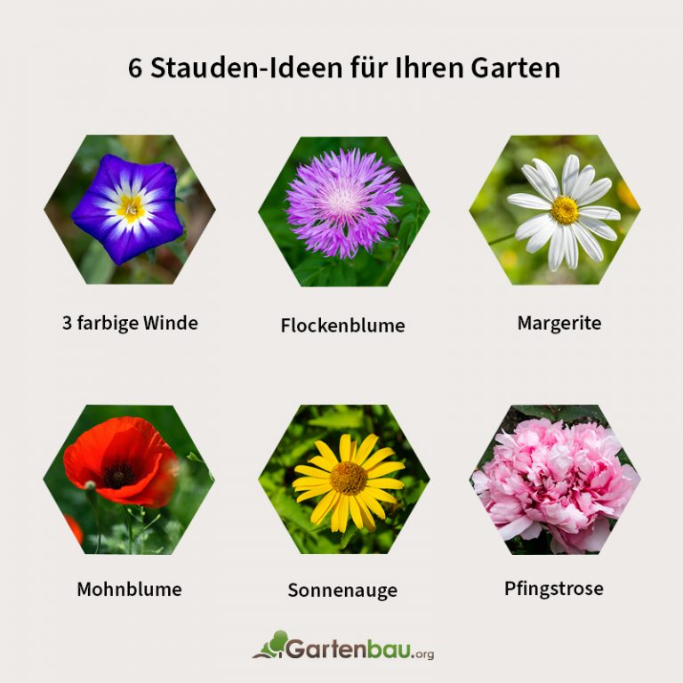 Staudengarten anlegen » Planung, Tipps & Pflanzplan