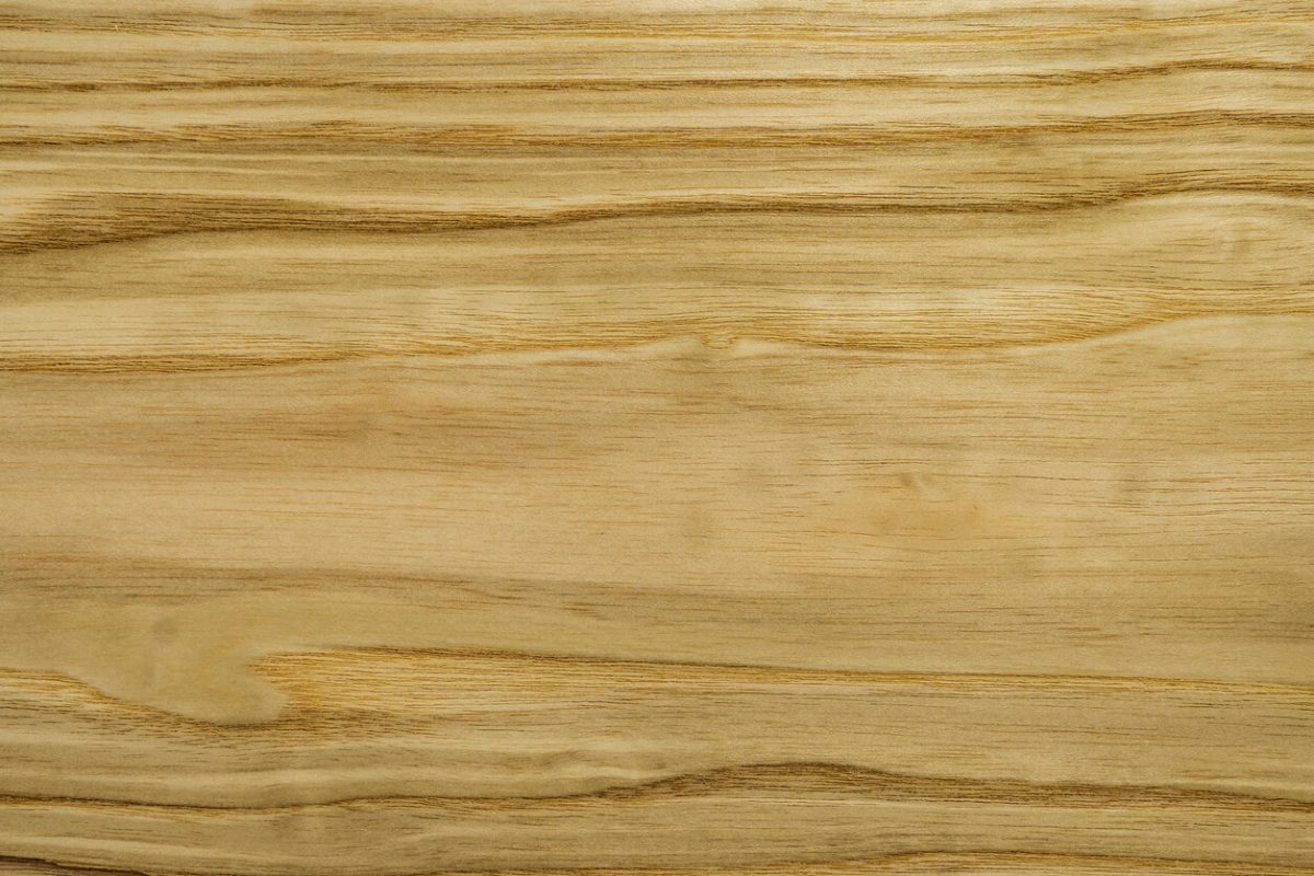 Esche » Eigenschaften, Preise & Verwendung